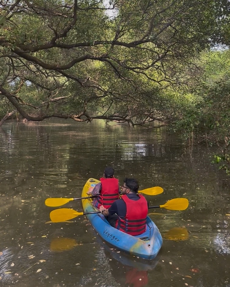 Booking - Mangrove River Kayaking With Swimming & Cliff Jumping